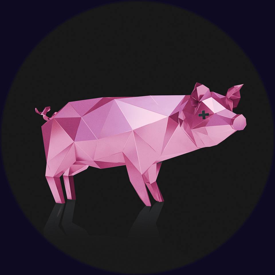 Digital Farm Animals : VIRGIN RADIO ROMANIA